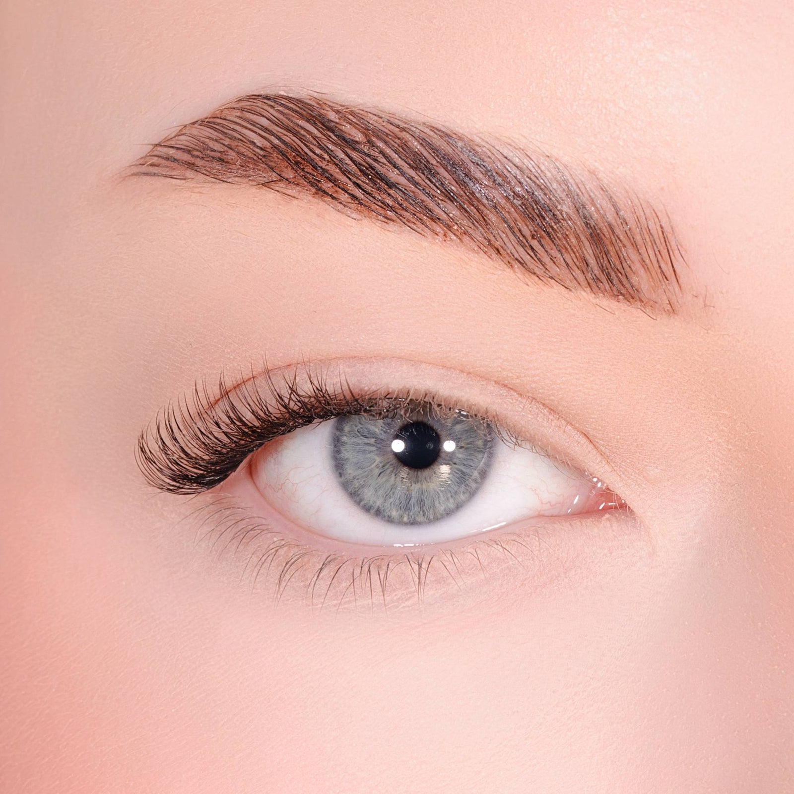 Lola's Lashes: False Eyelashes, Strip Lashes, DIY Lash Extensions